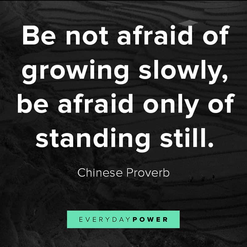 85 Chinese Proverbs Sayings Quotes On Family Life Health 2021 