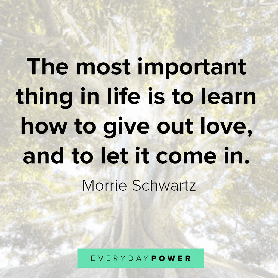 205 Life Quotes To Live By On Success And Love 2021 205 Life Quotes To Live By On Success And Love 2021