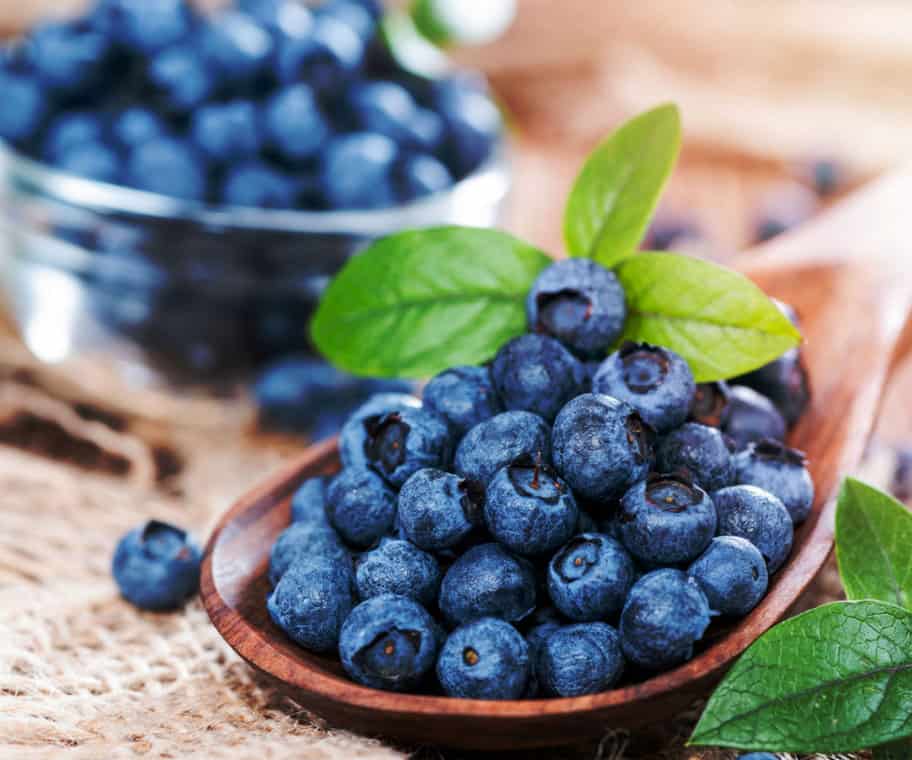 Blueberry Quotes
