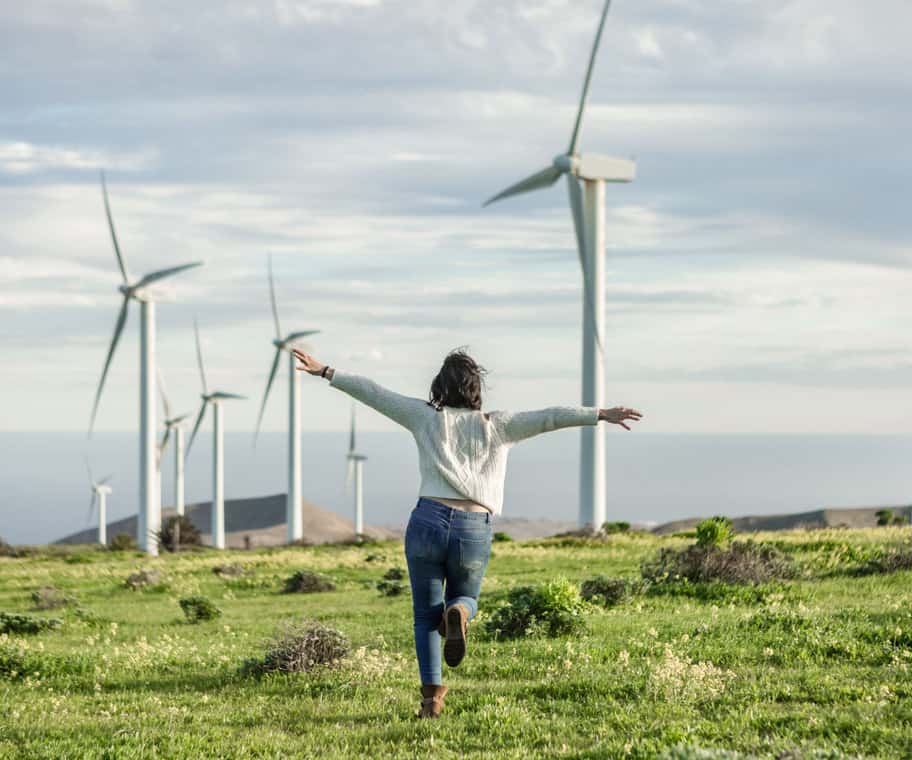 Famous Windmill Quotes