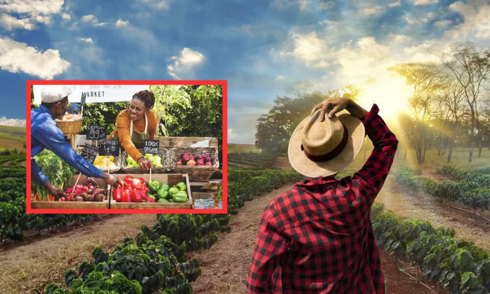 Organic Farming Quotes